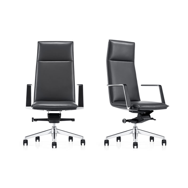 Modern German Minimalist Office Executive Chair | Furicco